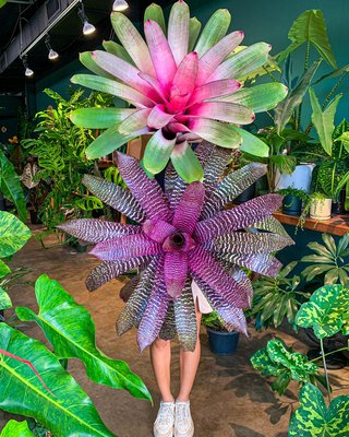 PLANTOEM - Updated January 2026 - 658 Photos & 150 Reviews - 3457 ...