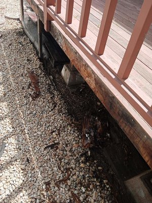 HERO HOME AND PEST SERVICES - Updated May 2026 - 17 Photos & 53 Reviews ...