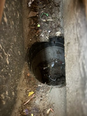 VODA CLEANING AND RESTORATION - Updated December 2025 - 38 Photos ...