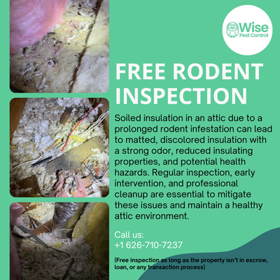 WISE PEST CONTROL - Updated October 2025 - 28 Photos & 78 Reviews - 16 ...