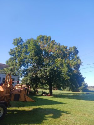 MATTHEWS TREE MAINTENANCE - 402 Lansing Rd, Eaton Rapids, Michigan ...