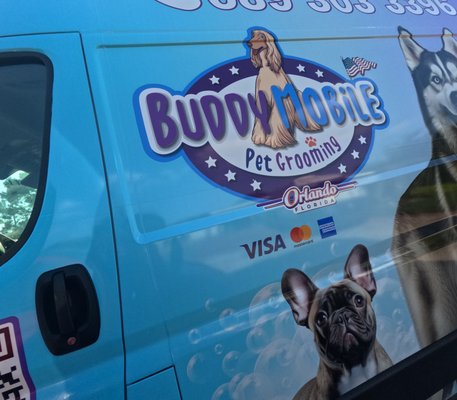 Mobile Pet Grooming Orlando Fl