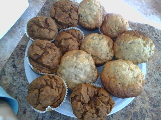 ADVANCED THROUGH BASICS GENERAL CONTRACTING - Blezard Valley, Ontario ...