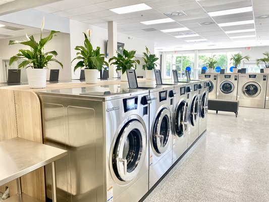 FLO LAUNDRY - Updated August 2025 - 20 Photos - 3520 Blanding Blvd ...