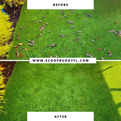 SCOOP BUDDY - Updated March 2025 - Tampa, Florida - Pet Waste Removal ...