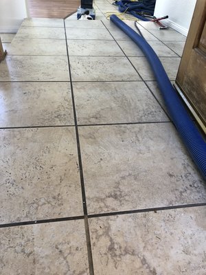 ALOHA CARPET CARE - Updated December 2025 - 112 Photos & 140 Reviews ...