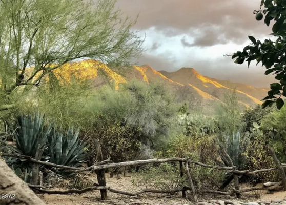 MARCUS ADAM - ARIZONA REAL ESTATE TEAM - 84 Photos - 2890 E Skyline Dr ...