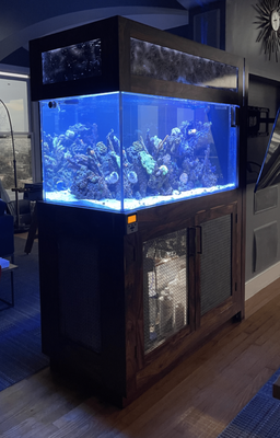 DEEP SEA CREATIONS - Updated June 2025 - 91 Photos & 118 Reviews ...