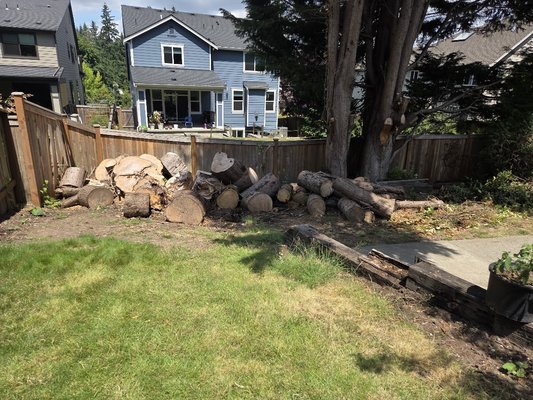 GREEN EARTH REMOVAL - Updated April 2026 - 17 Photos & 10 Reviews ...