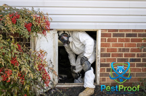 PEST PROOF - Updated December 2025 - 61 Photos & 46 Reviews - 10432 ...