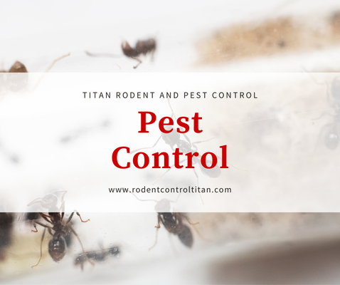 TITAN INSULATION - Updated October 2025 - 64 Photos & 97 Reviews - 155 ...