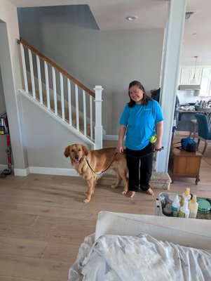 HARNESSING POTENTIAL DOG TRAINING - Updated June 2025 - 140 Photos & 21 ...