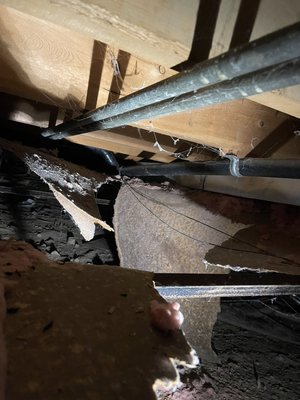 Get Rooter & Plumbing - Updated July 2025 - 28 Photos - 96 Reviews ...