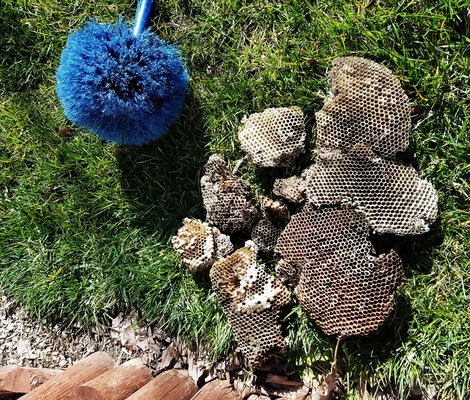 ADVANCED IPM - Updated November 2025 - 15 Photos & 34 Reviews - 4970 ...