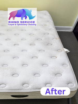 RHINO SERVICE CARPET & UPHOLSTERY CLEANING - Updated November 2025 - 28 ...