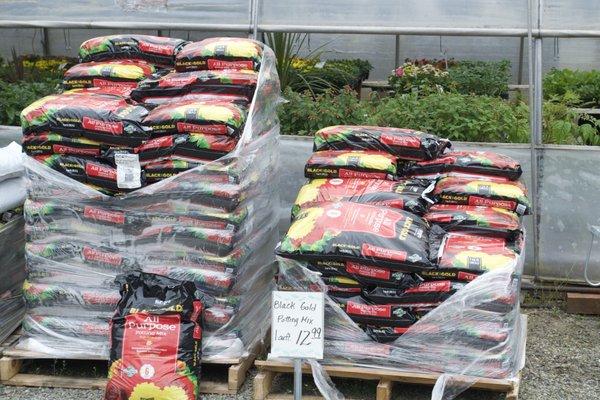 CASCADE GREENHOUSE - 82 Photos & 19 Reviews - 6005 NE 139th St ...