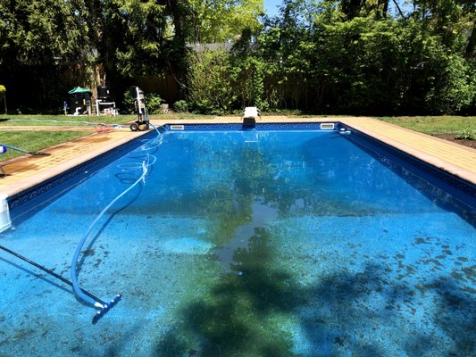 MIKE’S POOL CARE - Updated May 2026 - 15 Photos - Long Island, New York ...