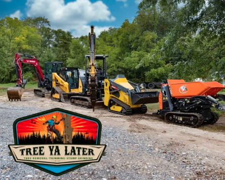 TREE YA LATER - Updated January 2026 - 36 Photos & 14 Reviews - 416 N ...