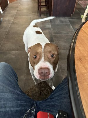 TrueServe Electric - Updated January 2026 - 69 Photos - Midlothian ...