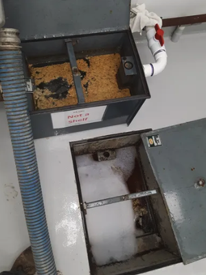 QUALITY SEPTIC - Updated April 2026 - 28 Photos & 29 Reviews - 10720 N ...