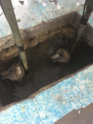 VALUE DRY WATERPROOFING - Updated April 2026 - 128 Photos & 62 Reviews ...