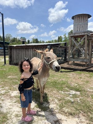 GOOD MOOD RANCH - Updated October 2025 - 137 Photos & 17 Reviews - 306 ...