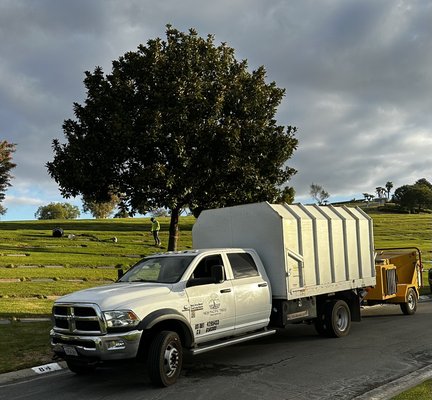 NEW PACIFIC TREES - Updated June 2025 - 14 Photos - Colton, California ...