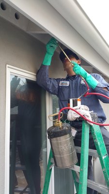 PACIFIC COAST TERMITE - 25 Photos & 200 Reviews - 1211 N Batavia St ...