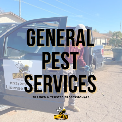 BUSY BEE PEST SOLUTIONS - Updated October 2025 - 49 Photos & 16 Reviews ...