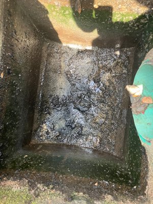 Professional Plumbing - Updated January 2026 - 88 Photos - 87 Reviews ...