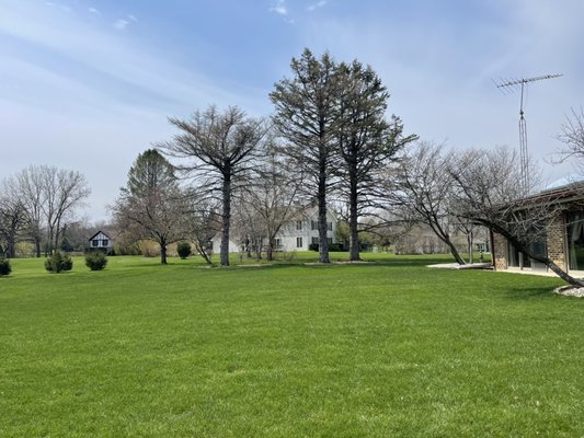 COY TREE SERVICE - Updated September 2025 - 39 Photos - Carpentersville ...