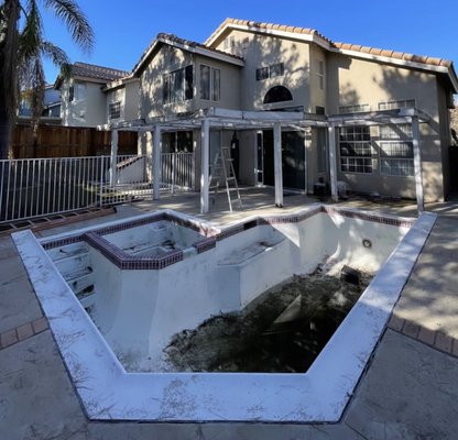 TRINITY CUSTOM POOLS - Updated December 2024 - 515 Photos & 166 Reviews ...