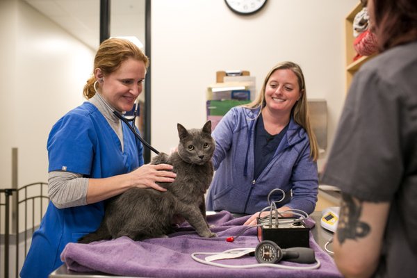 DOVELEWIS EMERGENCY ANIMAL HOSPITAL - Updated December 2025 - 182 ...