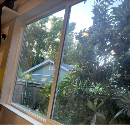 Window Washing - SQUEAKY CLEAN WINDOWS - Request a Quote - Citrus ...