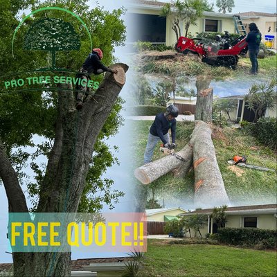 PRO TREE SERVICES - Updated October 2025 - 37 Photos - 1100 Cherokee ...