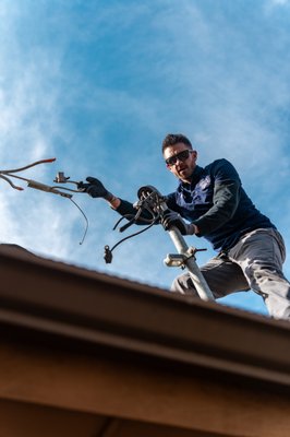 SPARK SHARK ELECTRIC - Updated May 2026 - 22 Photos - 621 Sally Ct ...