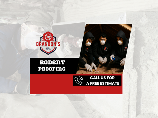 BRANDON’S ATTIC CONTROL - Updated January 2026 - 137 Photos & 24 ...