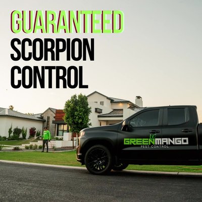 GREEN MANGO PEST CONTROL - Updated December 2025 - 160 Photos & 682 ...