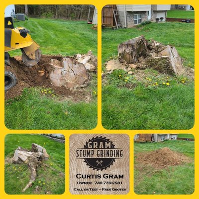 GRAM STUMP GRINDING - Updated October 2024 - 27 Photos - 540 Asbury ...